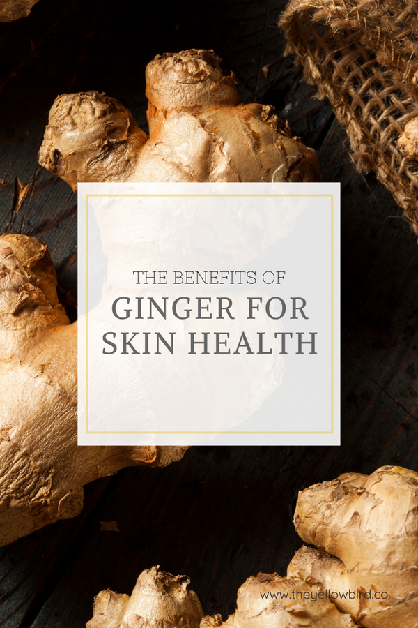 Benefits of Ginger for Skin Health - The Yellow Bird